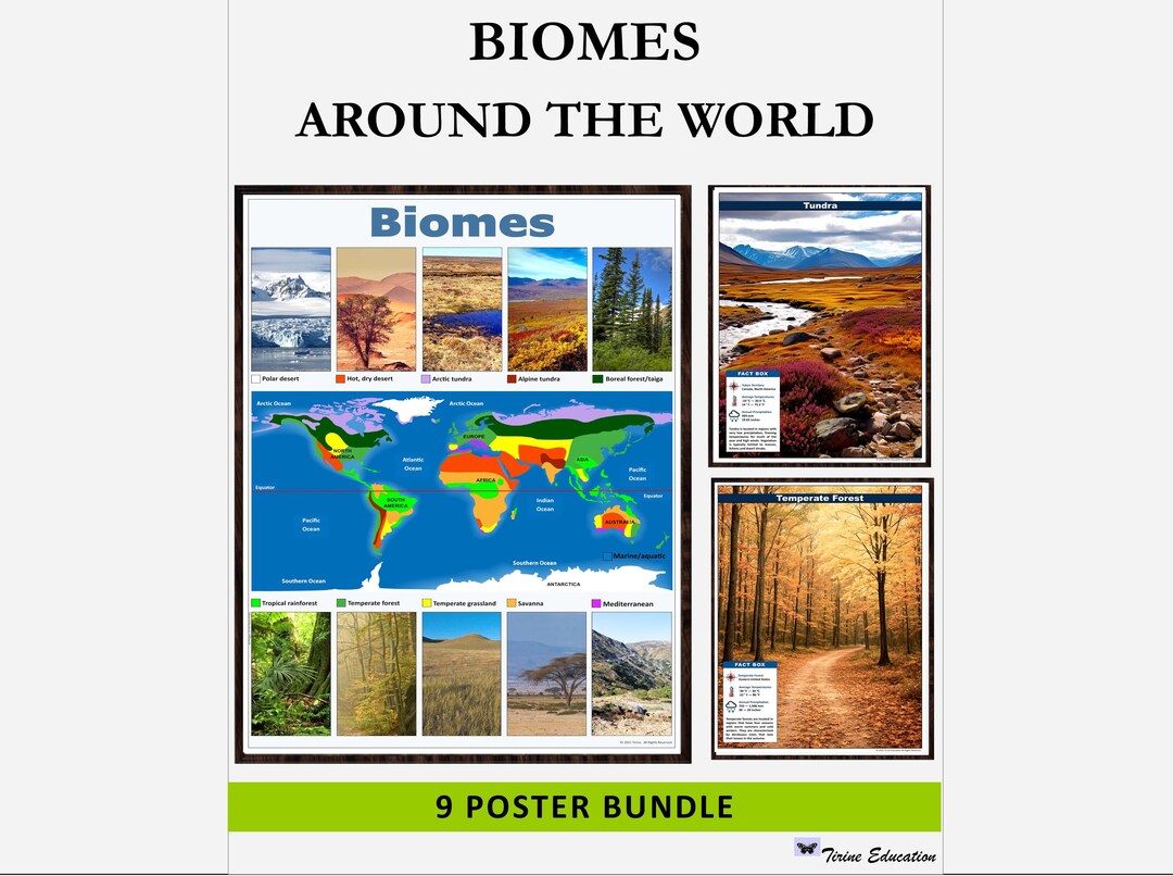Biomes Poster Set: Printable Environmental Science Decor for Middle ...