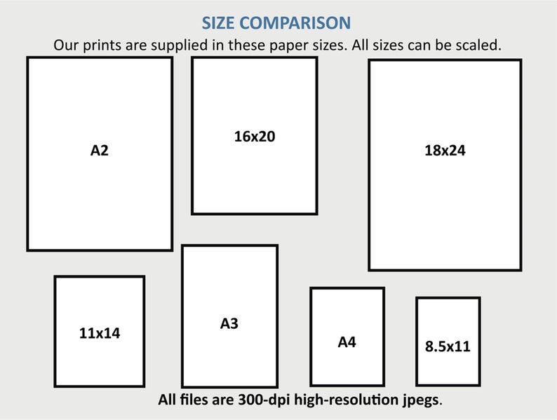 Ph Scale Poster: Printable Science Resource for Middle and High School ...