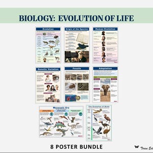 Evolution of Life Science Posters, Biology, Printable Middle & High ...