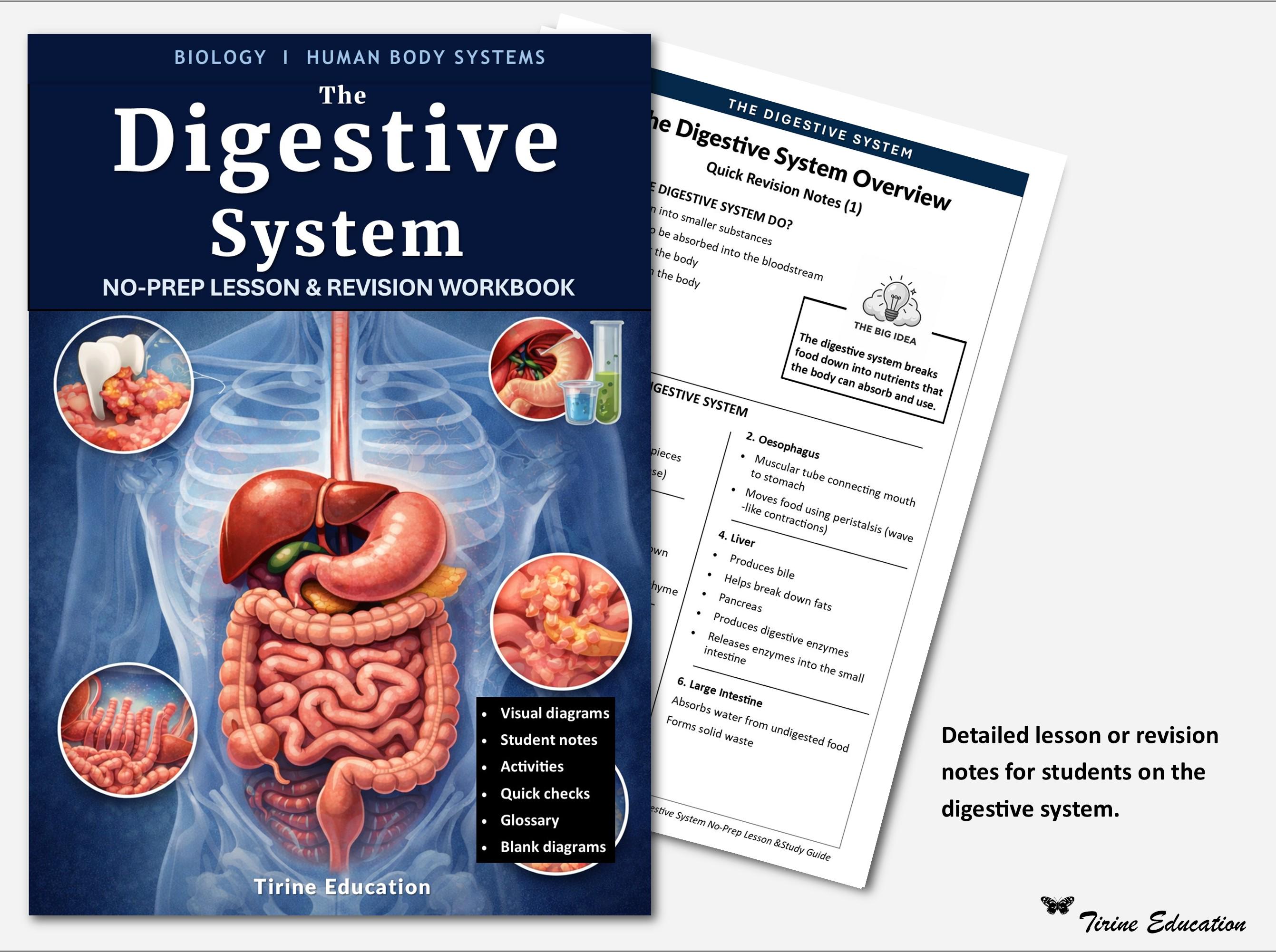 Human Anatomy Workbook, the Digestive System, Science Biology Lessons ...