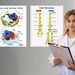 Cell Biology Poster Set, Biology Classroom Poster, Middle School ...
