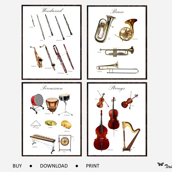 Orchestra Instrument Posters - Etsy