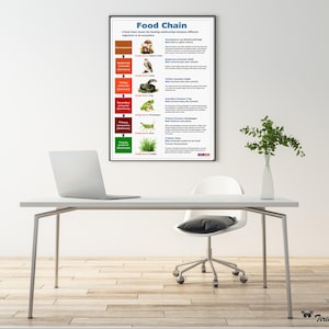 Food Web Poster Set, Biology Poster, High School Science, Food Chain ...