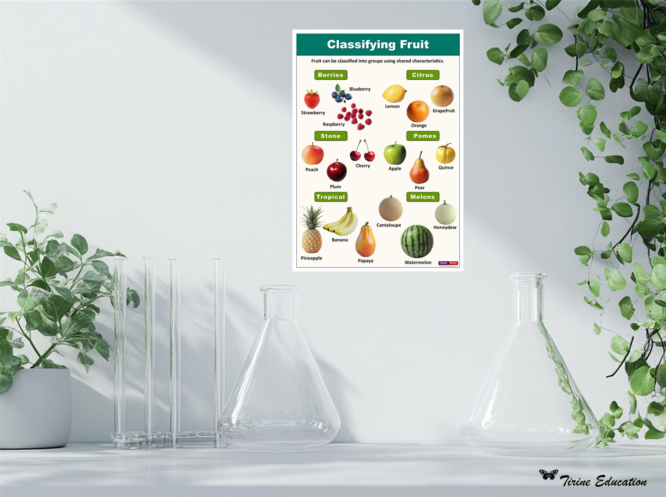 Fruit, Poster, Plants, Biology, Science, Middle School, Grade 5-8 ...