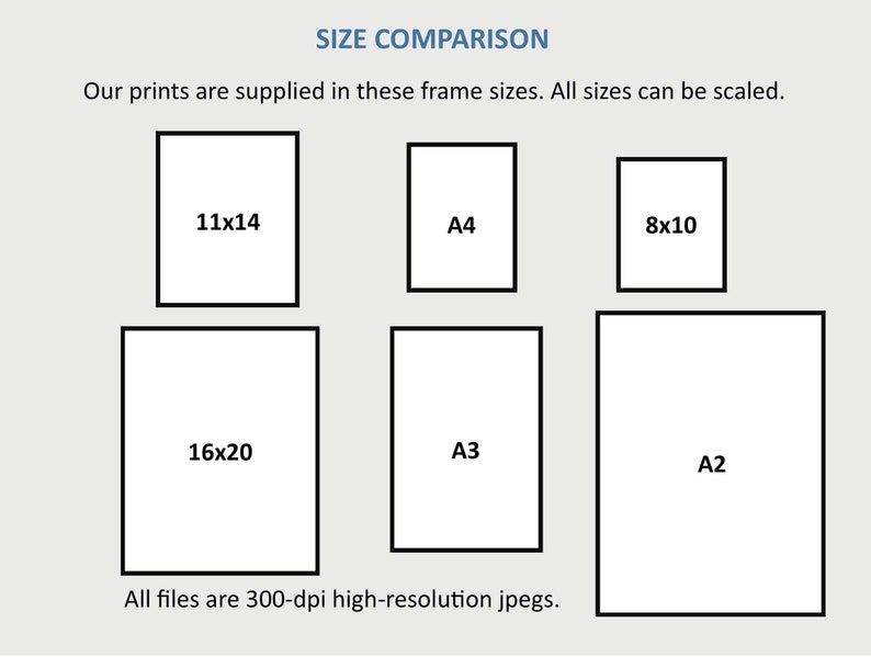 3D Shapes and Nets Poster Set, Math Classroom Decor (digital Download ...