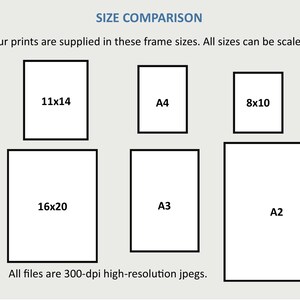 Fair Testing Poster, Biology, Science Wall Art, Classroom Poster ...