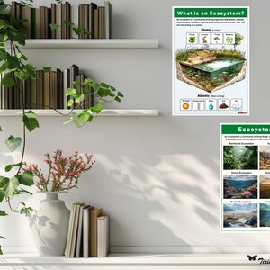 Ecosystems Environmental Science Poster Set, Middle School or High ...