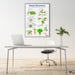 Plant Structure Poster, Science Biology, Middle School, High School ...