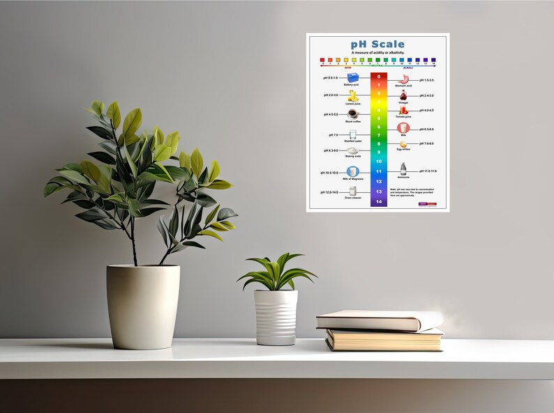 Acids, Bases and Salts and Ph Scale Set, Science Chemistry Poster, Educational Science Poster ...