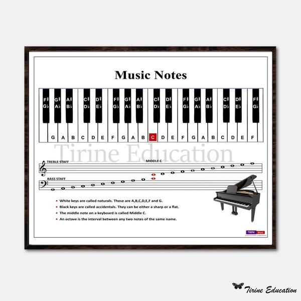 Music Theory Poster - Etsy