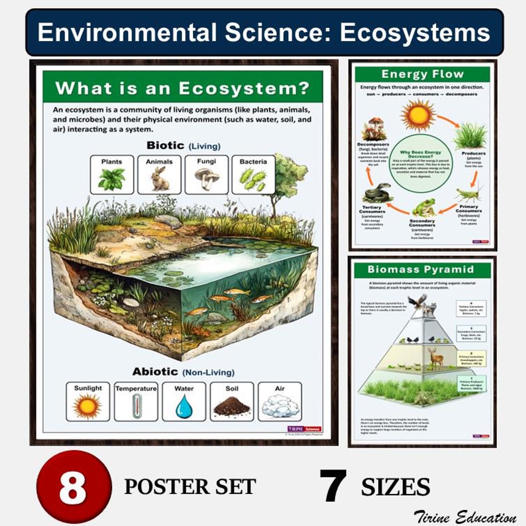 Ecosystems Environmental Science Poster Set, Middle School or High ...