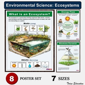 Ecosystems Environmental Science Poster Set, Middle School or High ...