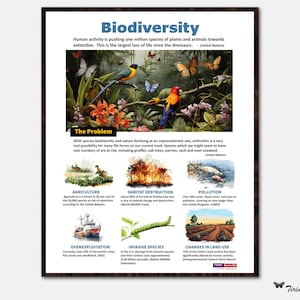 Environmental Science 6 Poster Set, High School Science, Science ...