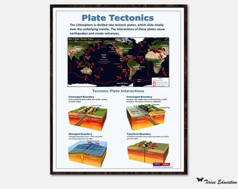 Animal Cell Poster Cell Biology Poster High School Science - Etsy