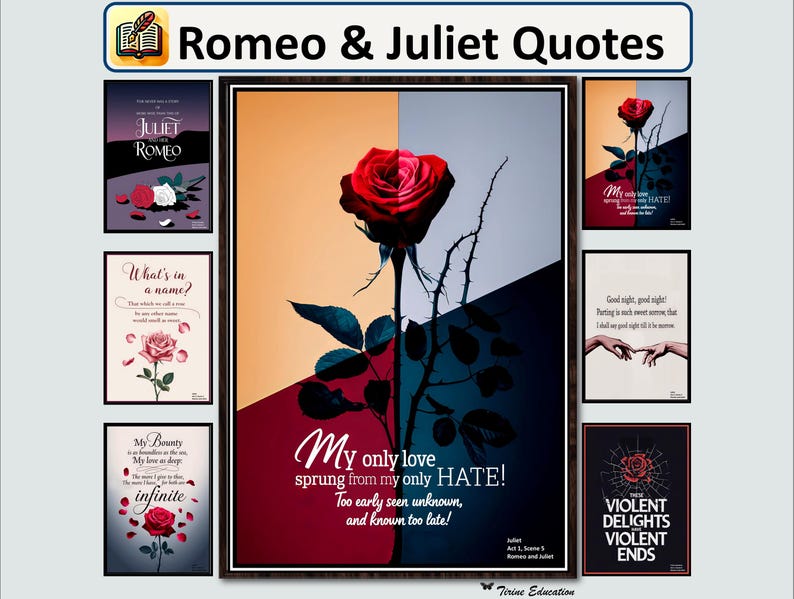 Romeo and Juliet Quotes Posters, English Classroom, Grade 8-11 ...