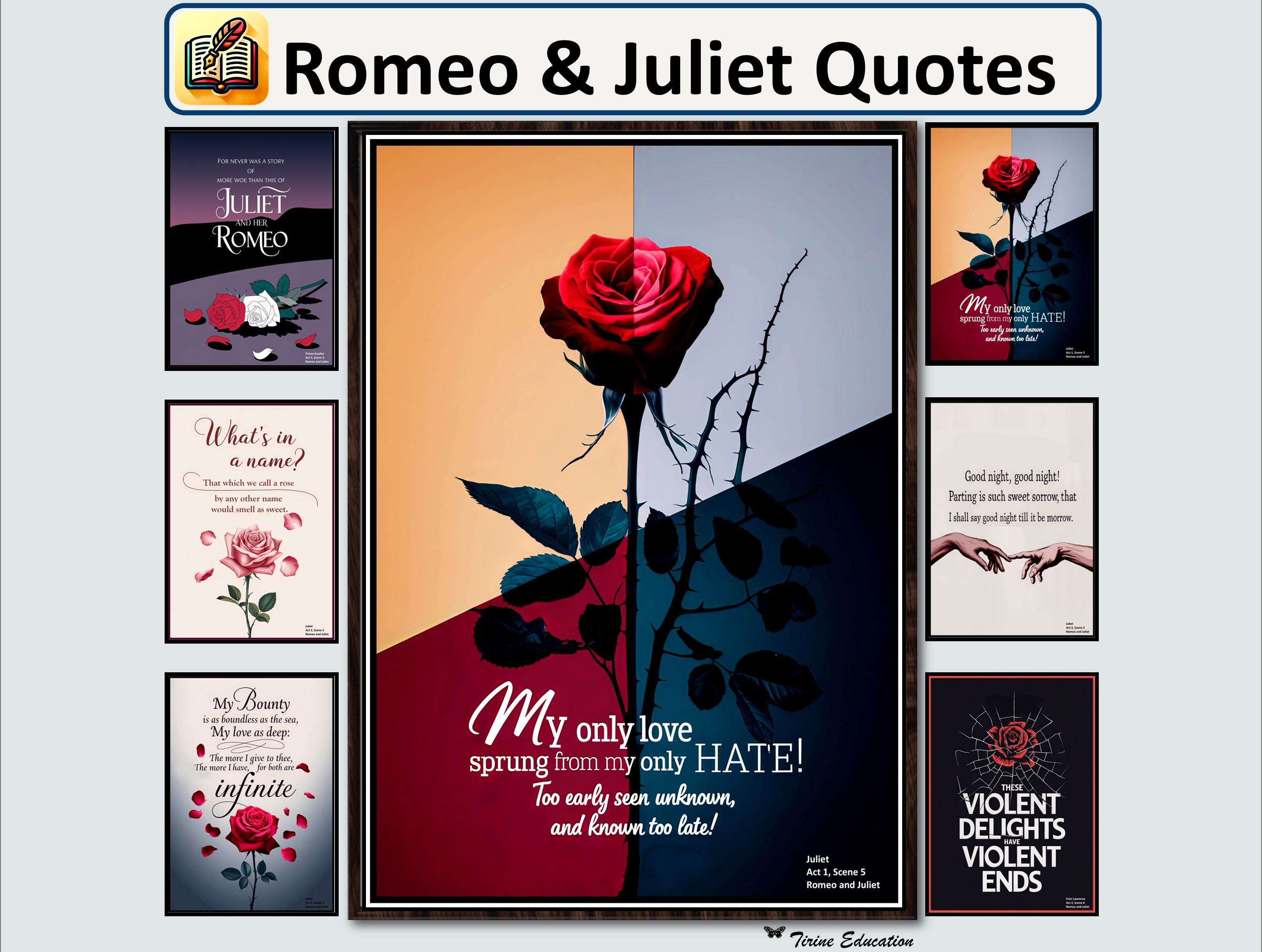 Romeo and Juliet Quotes Posters, English Classroom, Grade 8-11 ...