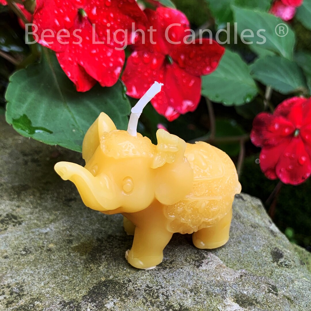 Elephant Beeswax Candle / African Elephants / Forest Animal / Beautiful ...