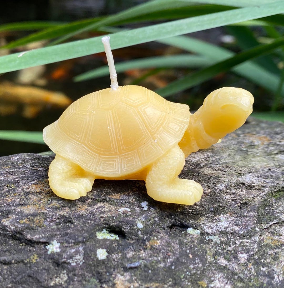 Tortoise Beeswax Candle / 100% All Natural Bee Wax Candles / USA ...