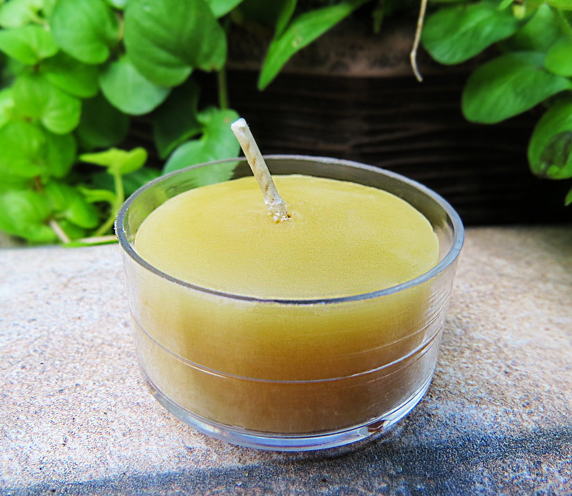 Beeswax Tealight Sample Pack / Half Dozen / Pack of 6 / 100% Natural ...