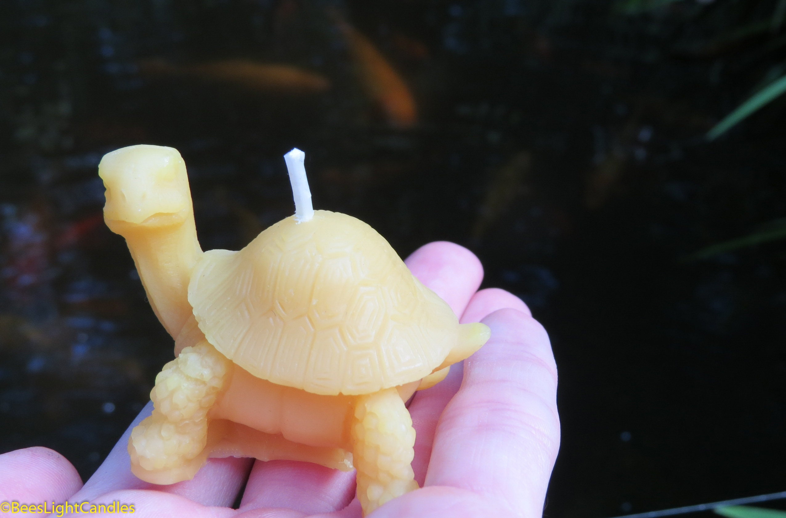 Little Turtle Beeswax Candle / 100% All Natural / Reptile / - Etsy