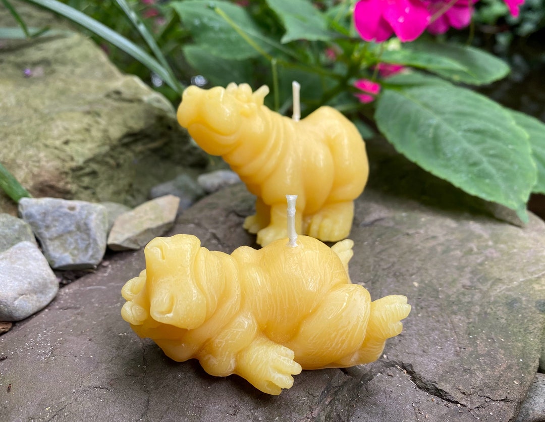 Hippo Buddies Beeswax Candles / All Natural Bees Wax Candles ...