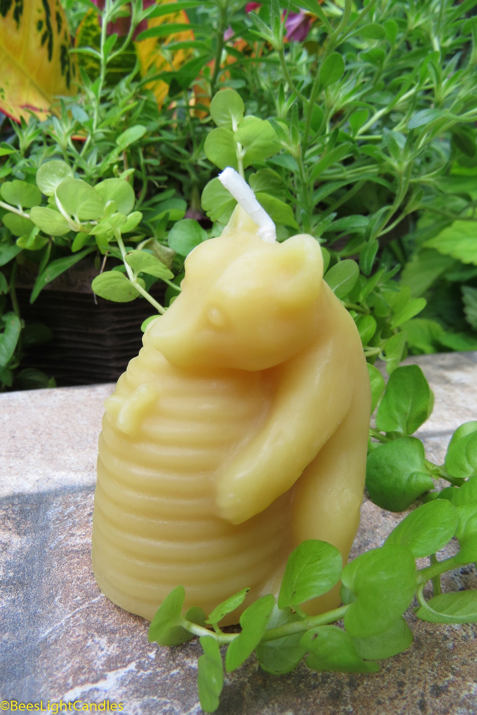 Bear Hugging Beehive Candle / 100% Natural Beeswax / Gift / - Etsy