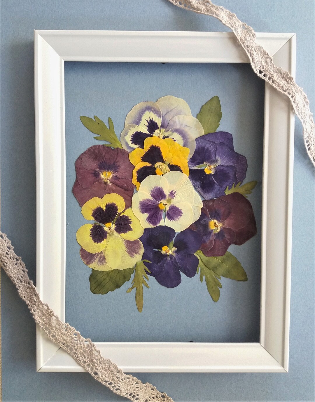 Pressed Pansies for Framing. Set of 9 Real, Colorful Pansies for Craft ...
