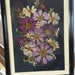 Real Pressed Cosmos Flower for Framing. Large Cosmos Flower Mix Color ...