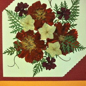 Pressed Orange Cosmos Flower. Natural Dried Flower for Craft Projects ...