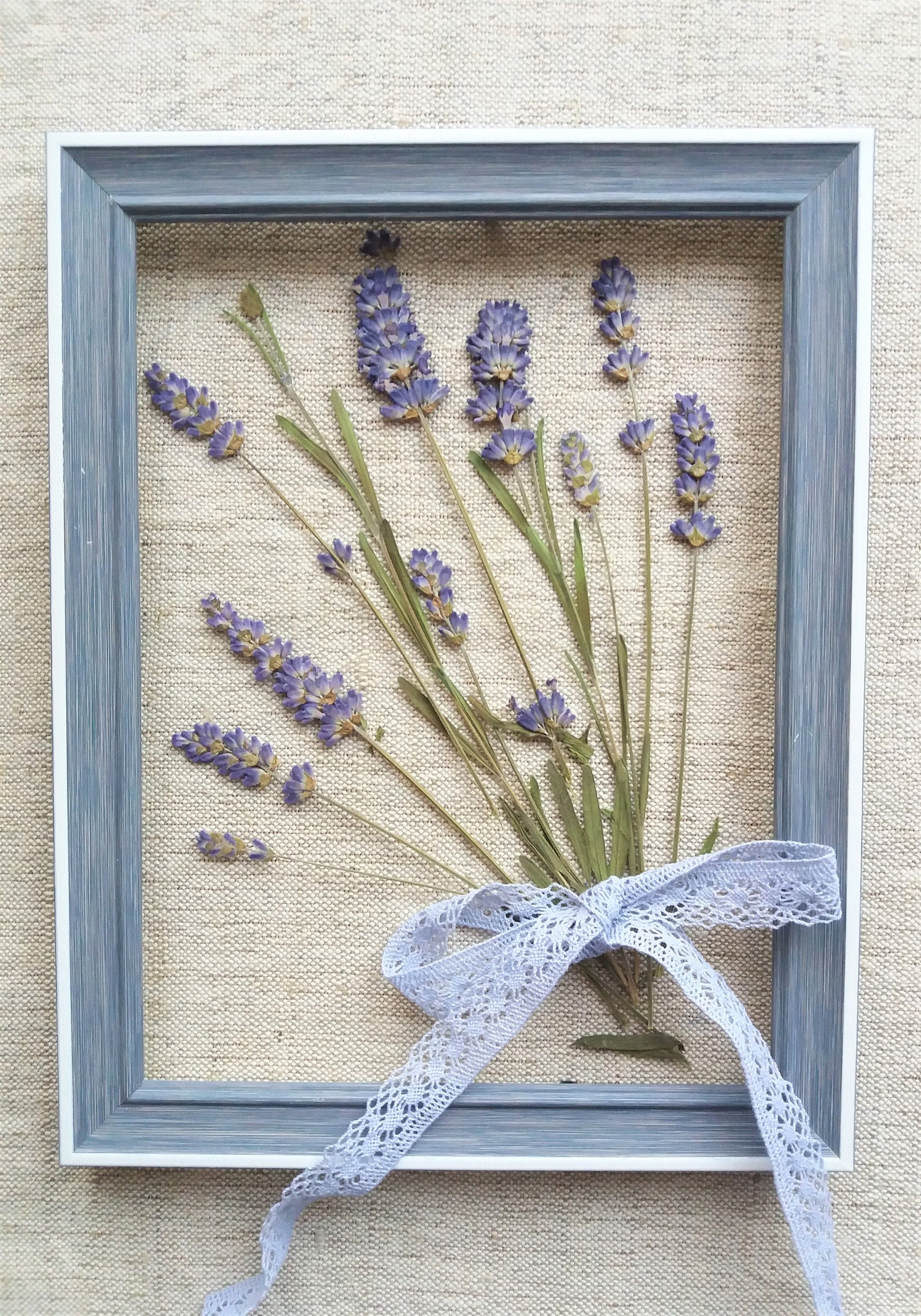 Dried Lavender 12 Pcs.. Natural Hand Pressed Blue Lavender for Framing ...