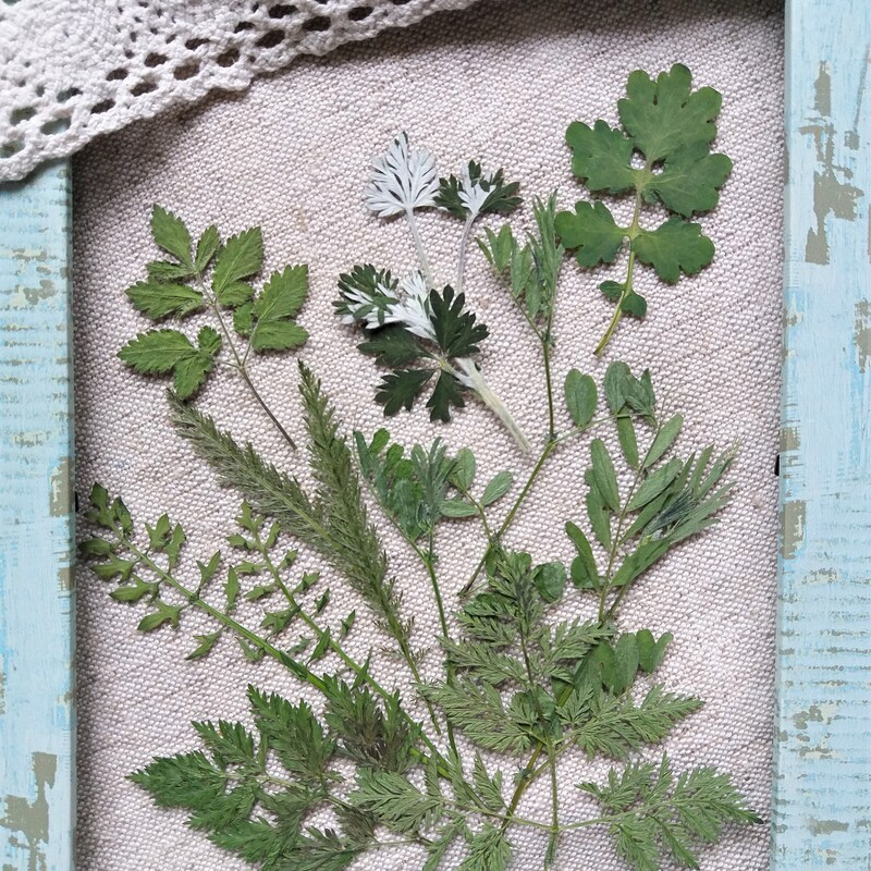 Pressed Leaf Art - Etsy