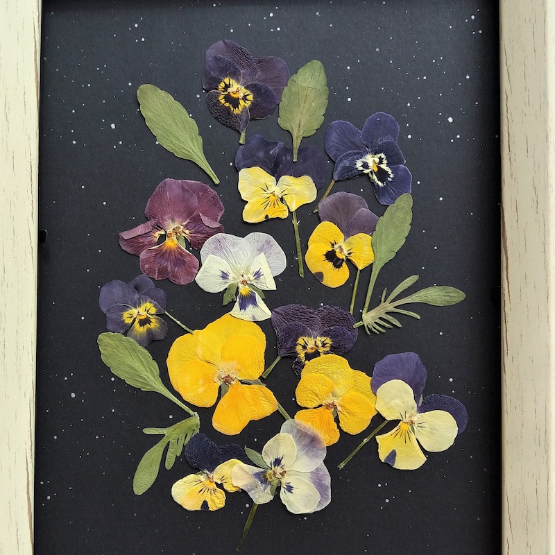 PressedFlowerPeace - Etsy