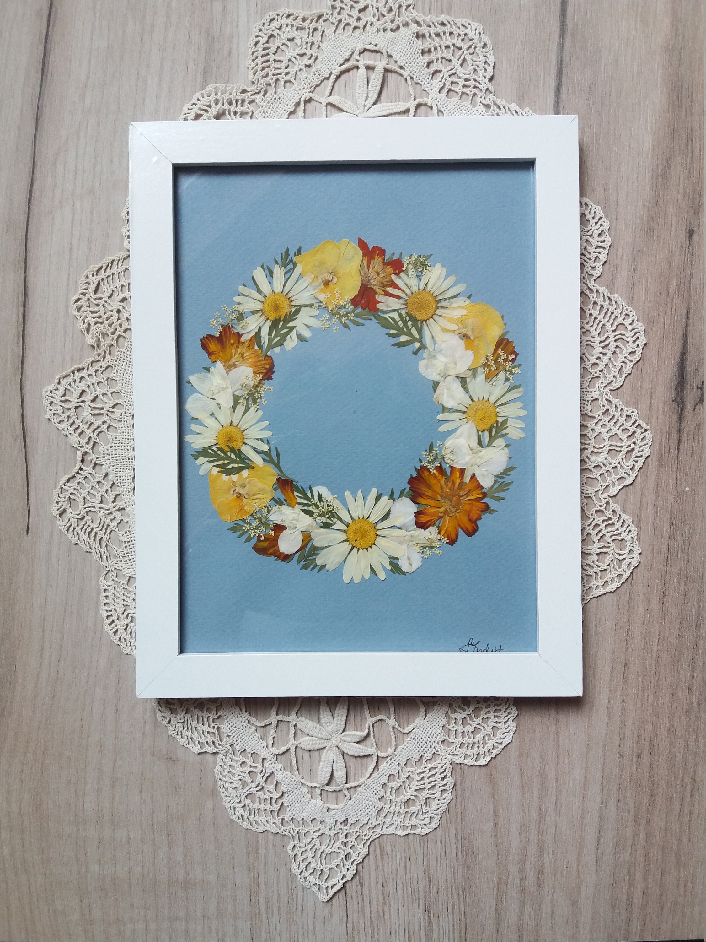 Wild Daisy Flower for Framing. Pressed White Daisy for Flower Craft ...