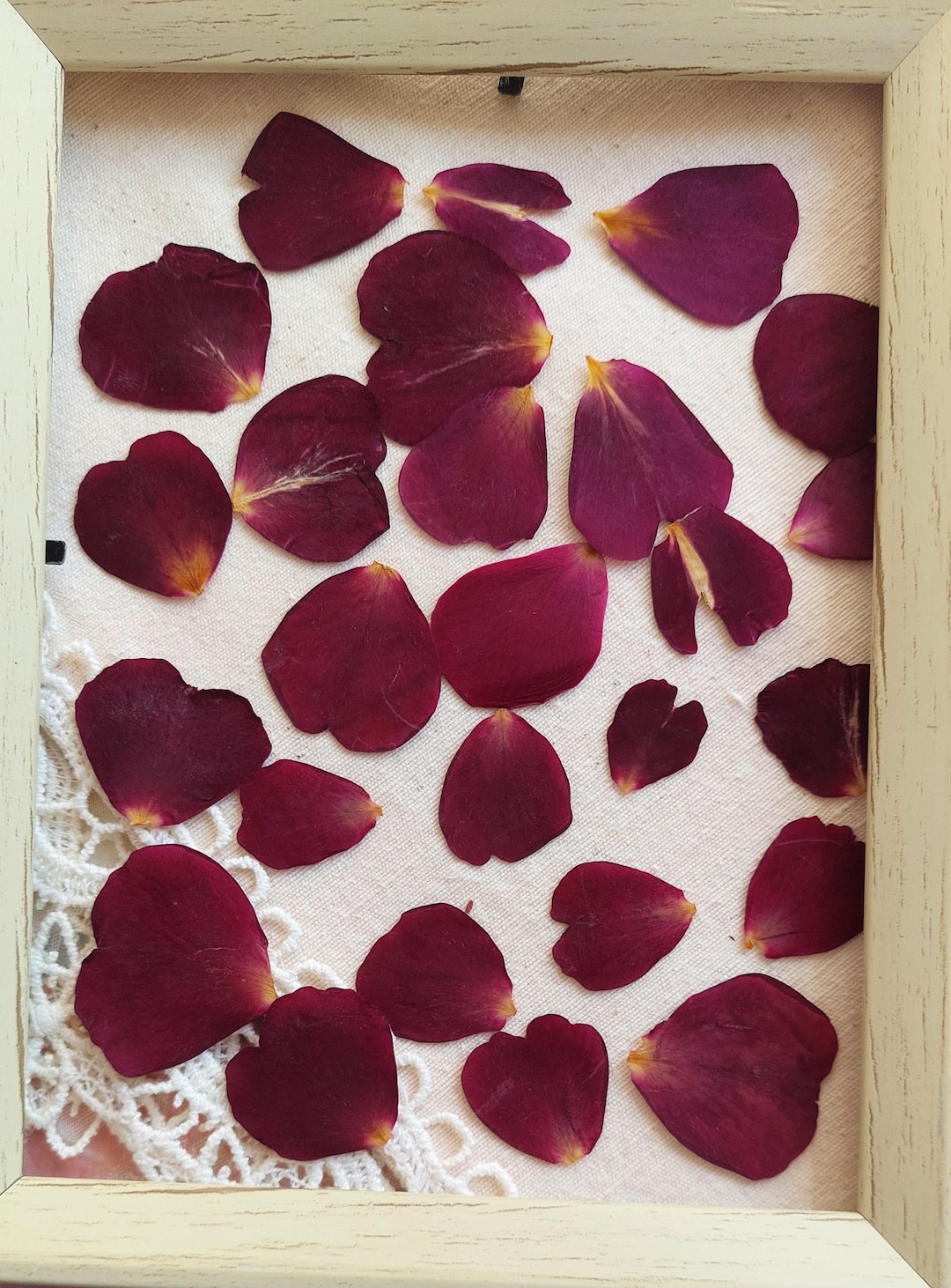 Pressed Red Rose Petals for Craft. Resin Jewelry Making Supply. Real ...