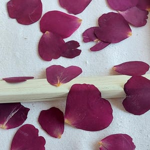 Pressed Red Rose Petals for Craft. Resin Jewelry Making Supply. Real ...