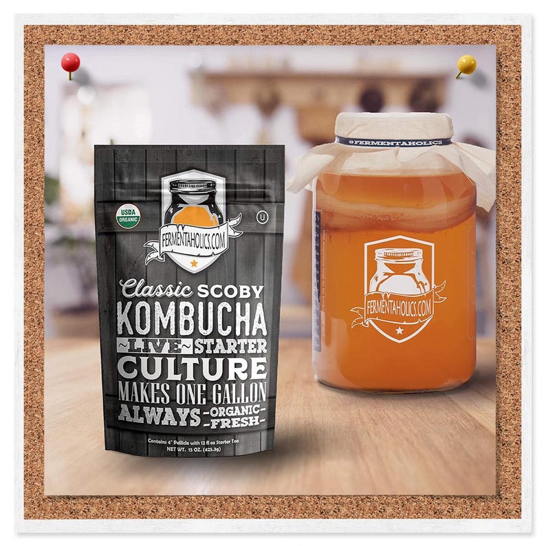 Kombucha Live Starter Culture (SCOBY + Starter Tea) | USDA Organic - Etsy