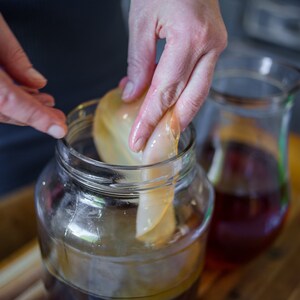 Kombucha Live Starter Culture SCOBY Starter Tea USDA | Etsy