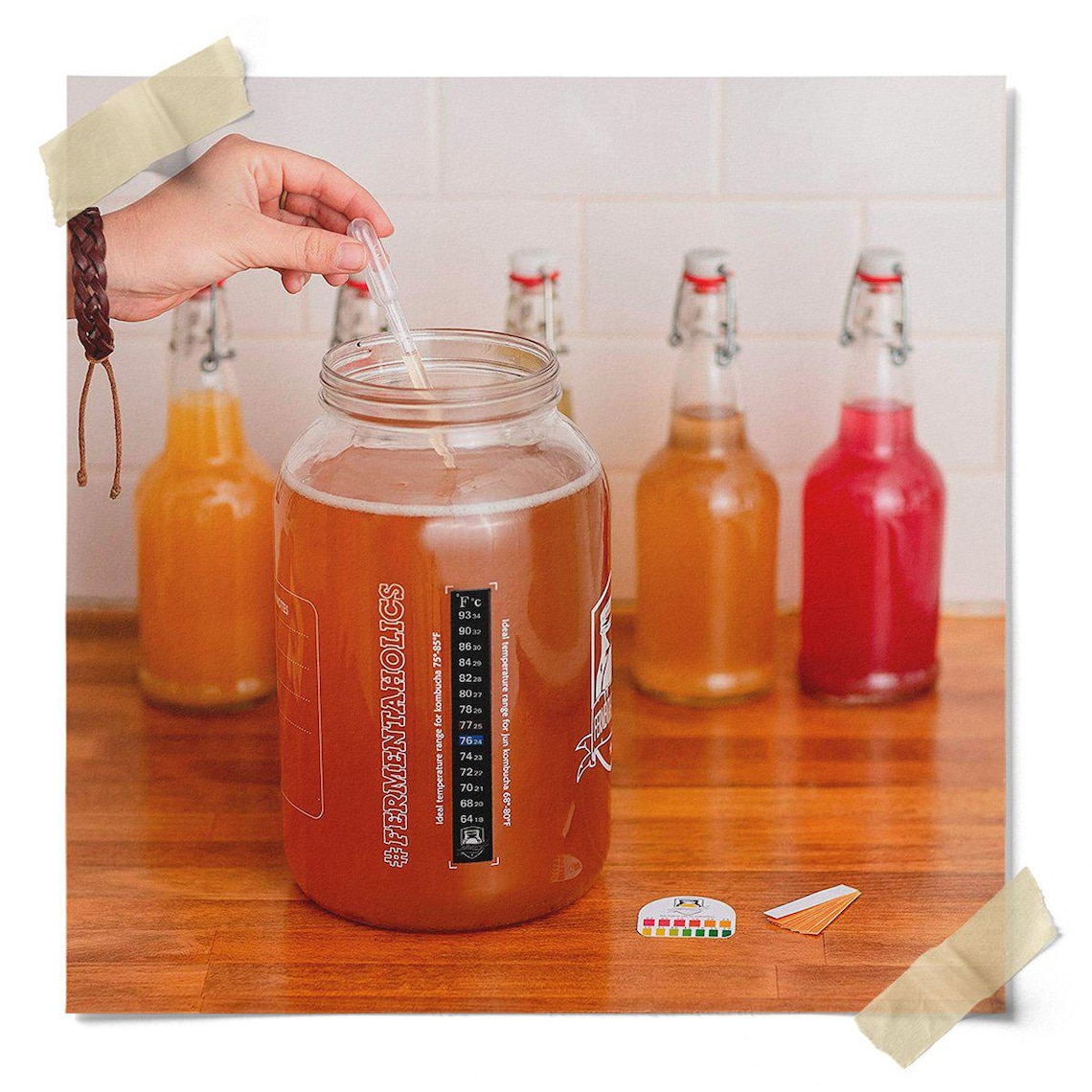 Kombucha Essentials Kit - ORGANIC SCOBY - Brew Kombucha at Home - Etsy