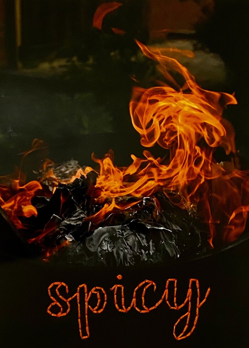 Spicy: Embroidered Photograph, Embroidery, Art Prints, Artwork, One Off ...