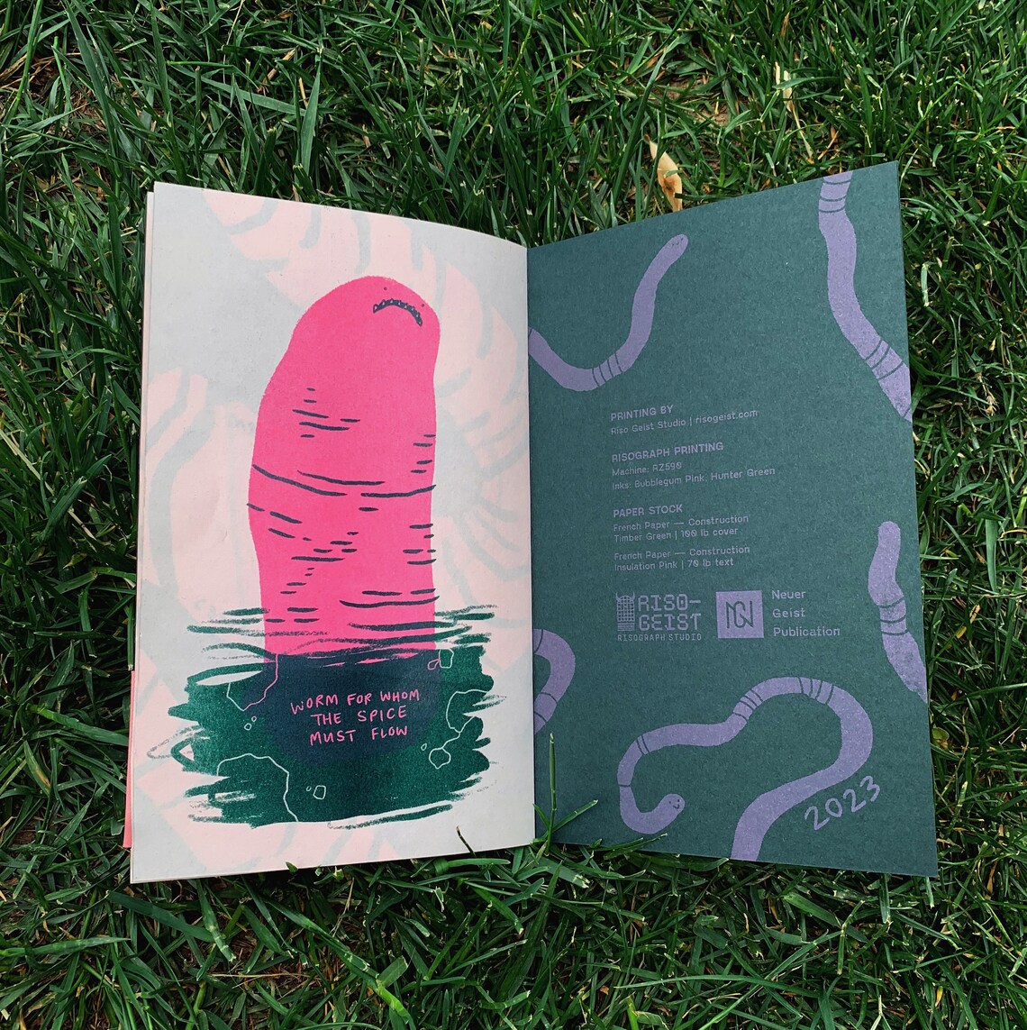 An Illustrated Book About Worms - Etsy
