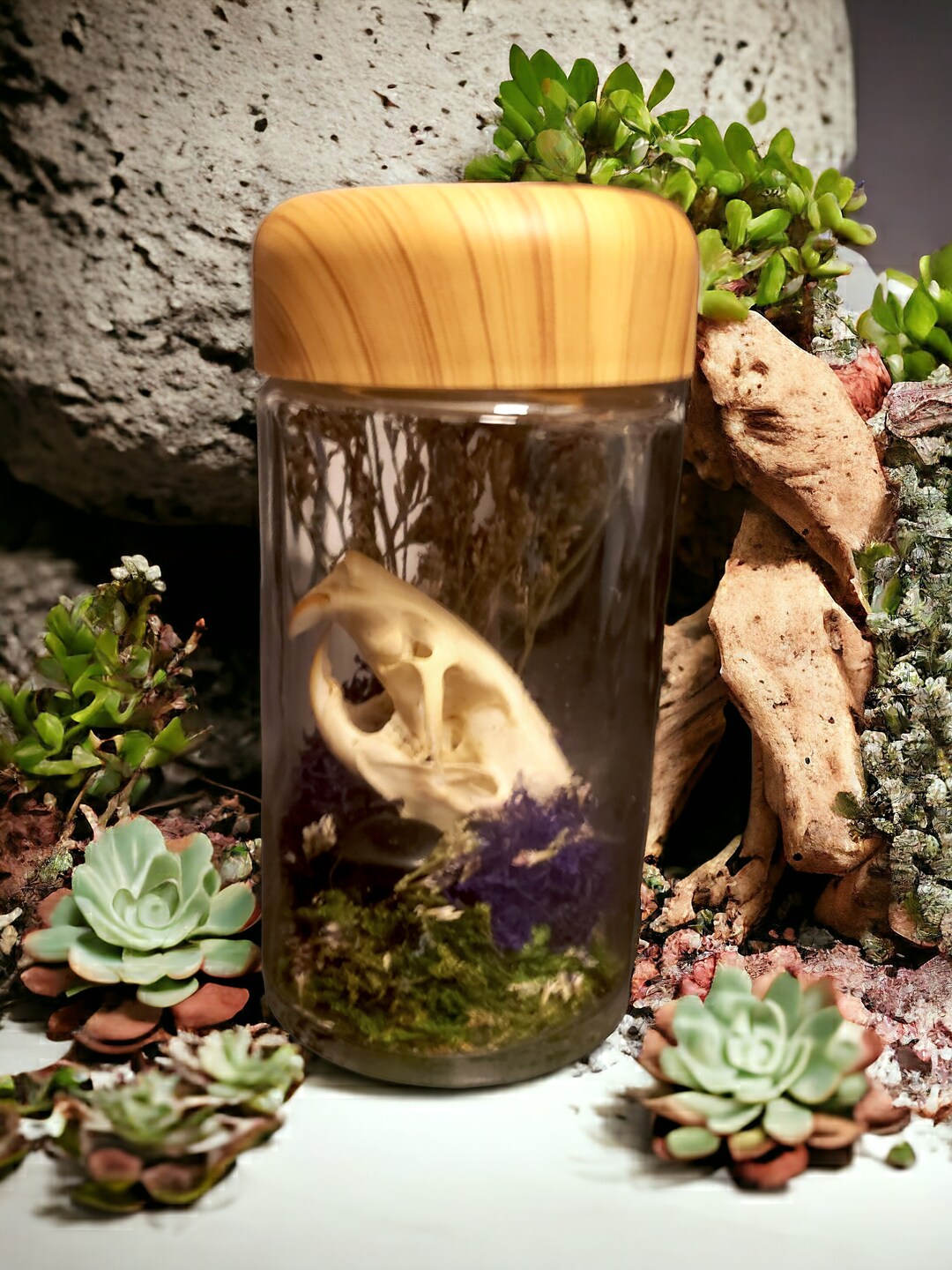 Ethereal Rat Skull Terrarium With Pressed Flowers and Preserved Moss ...