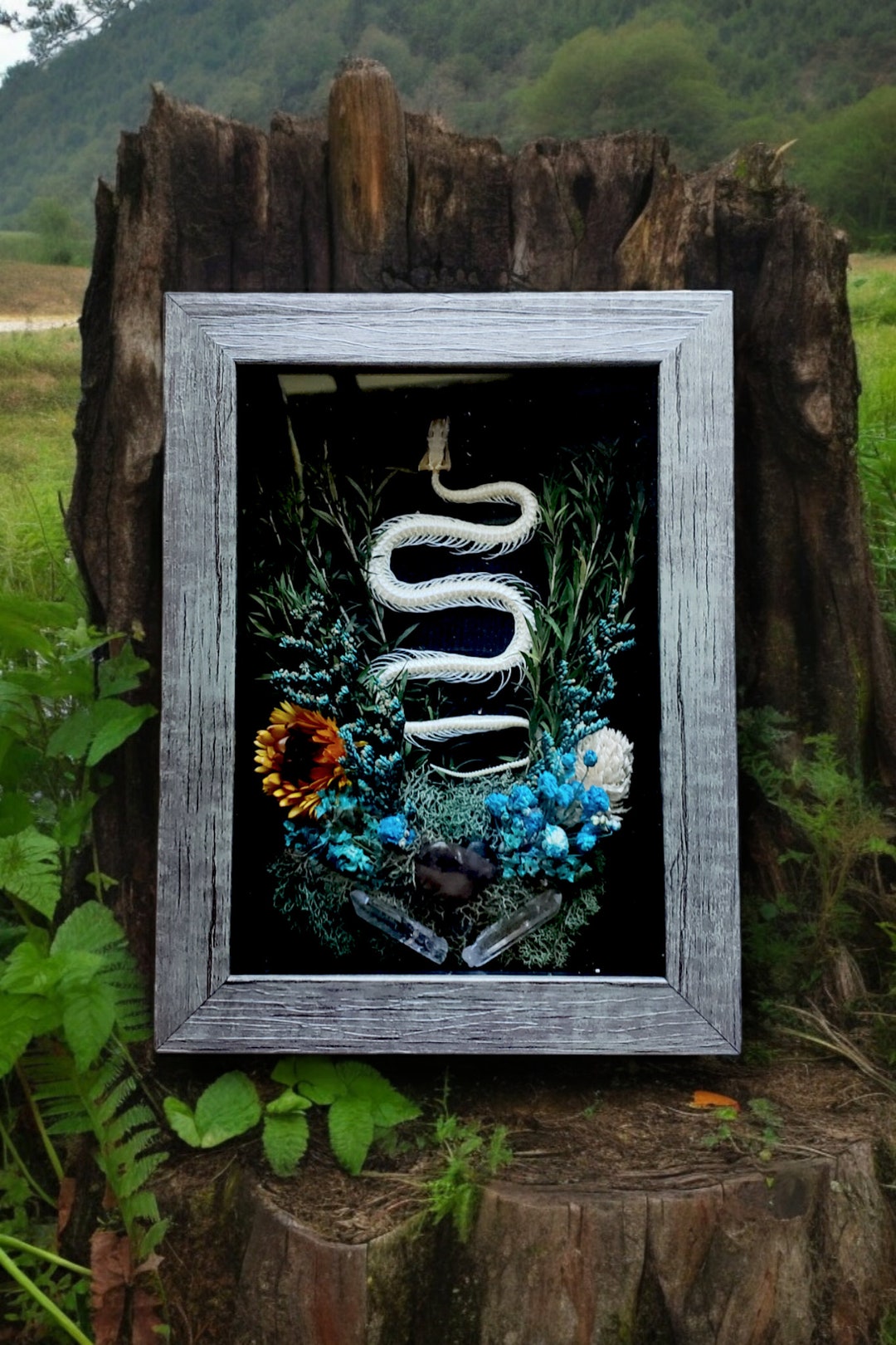 Snake Skeleton Shadowbox Adorned With Dried Flowers and Crystals Unique ...