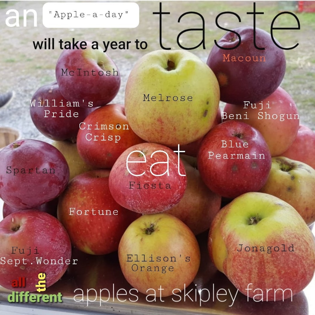 Rootstock Available: M27- Esp 1/8", G969, G890, M7, 1/8",3/16" and 1/4 ...