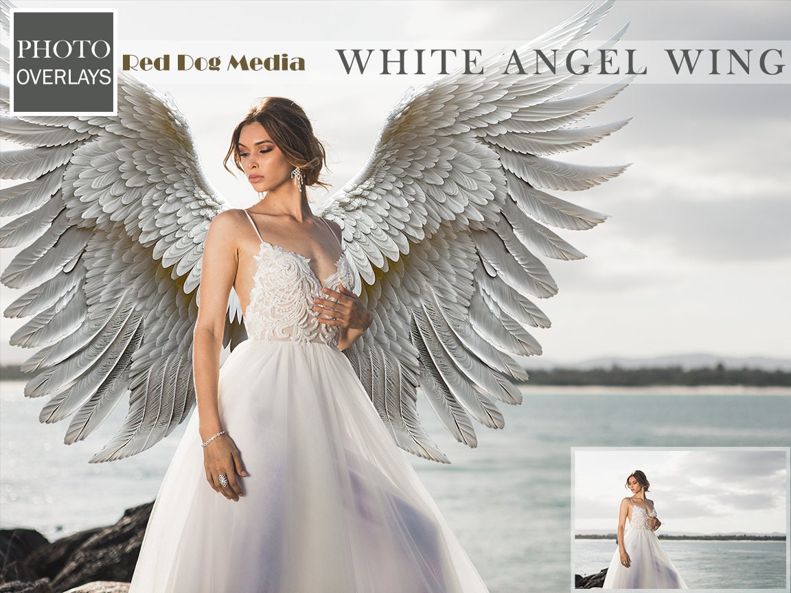 White Angel Wing Wings Overlay Photoshop Overlay Photoshop - Etsy