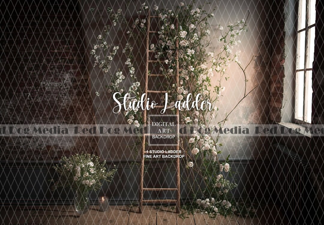 Studio Ladder Fine Art Backdrop, Fine Art Digital Backdrop, Fine Art ...