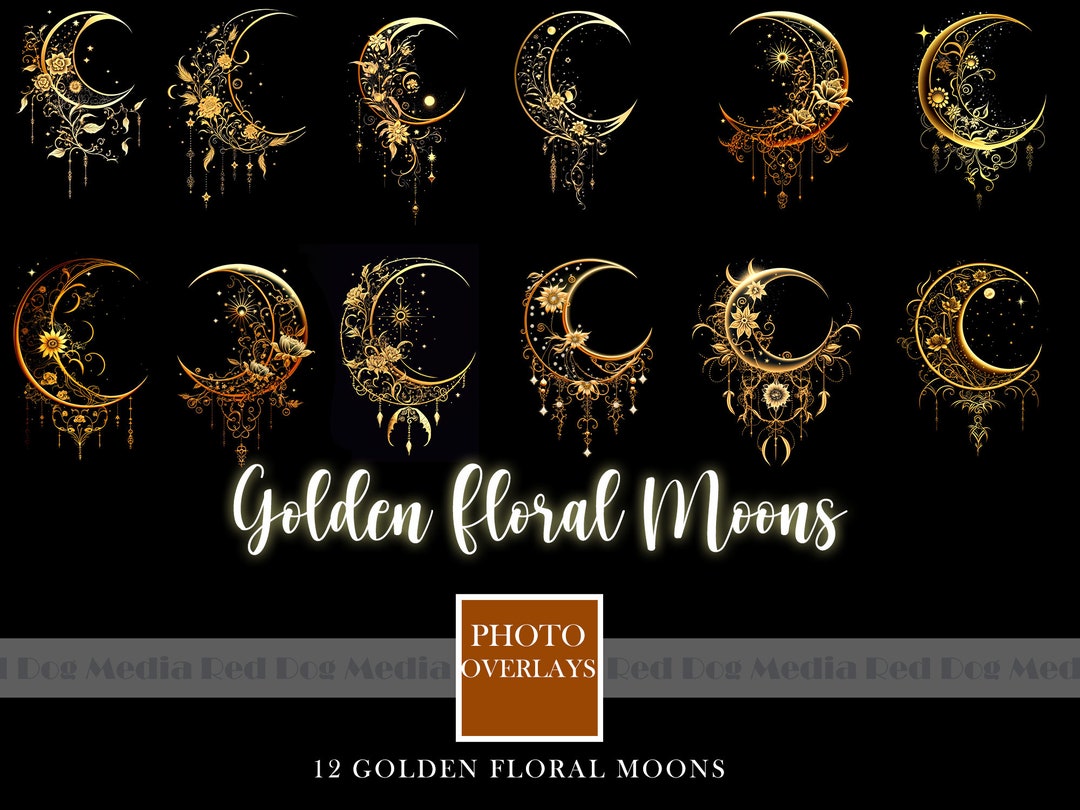 MEGAPACK 12 Gold Floral Moon Overlay Images, Moon Overlay, Photoshop ...