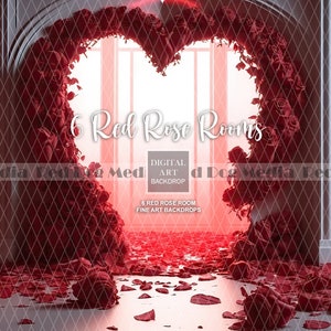 6 Red Rose Room Fine Art Backdrops White Window Collection - Etsy
