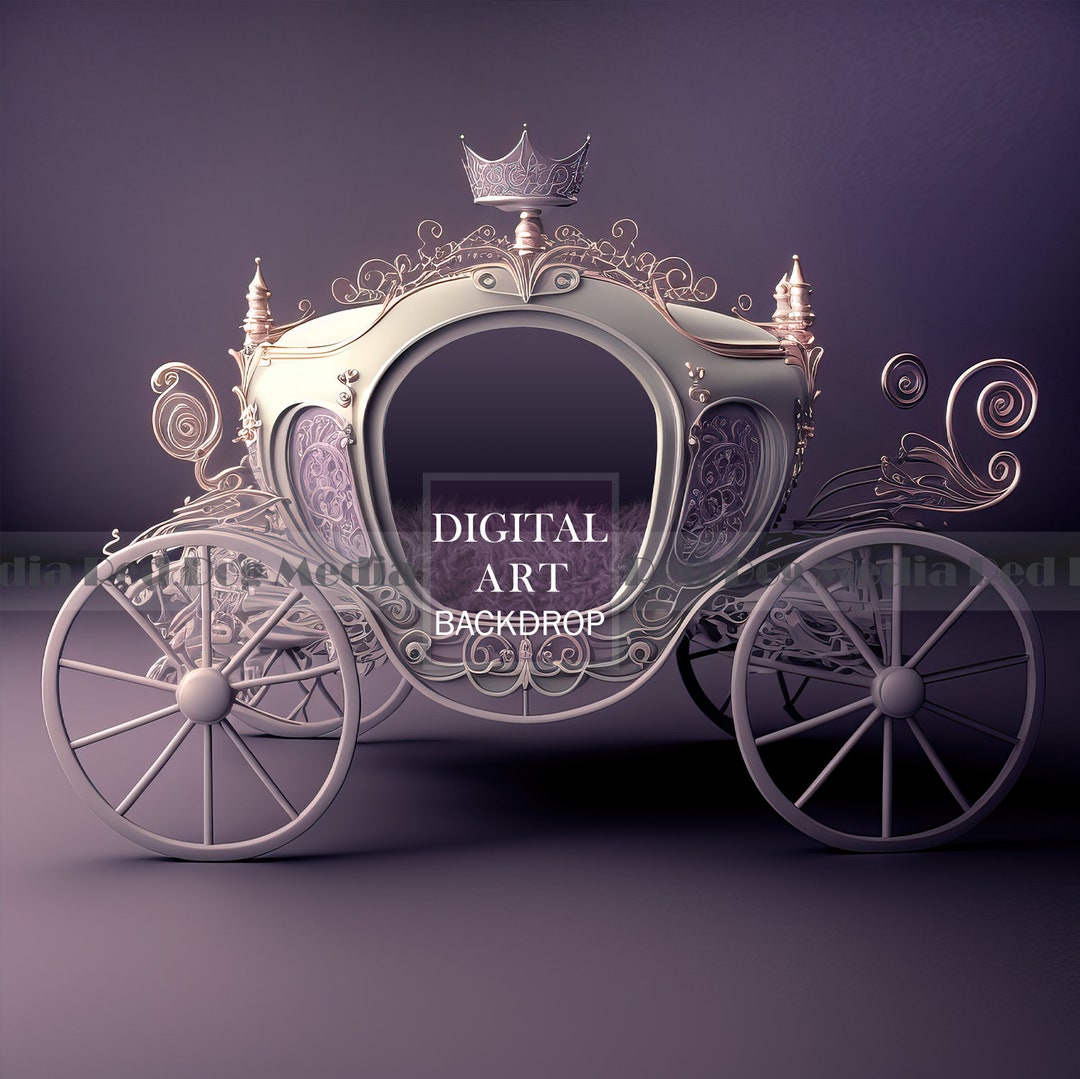 Princess Carriage Newborn Backdrop PLUS Fur Overlay, Newborn Carriage ...