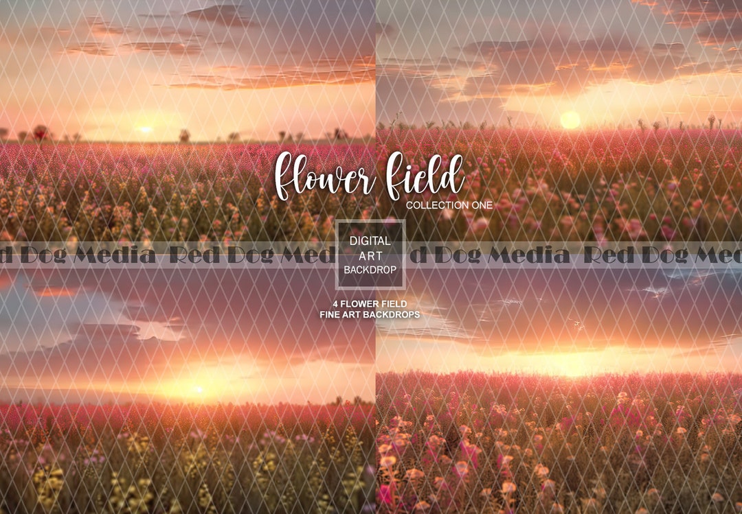 4 Flower Field Fine Art Backdrops, Floral Fine Art Digital Backdrop ...