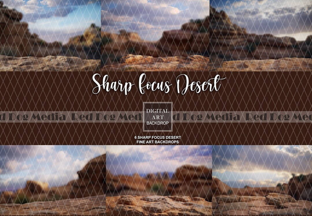 6 Sharp Focus Desert Fine Art Backdrops, Desert Fine Art Digital ...